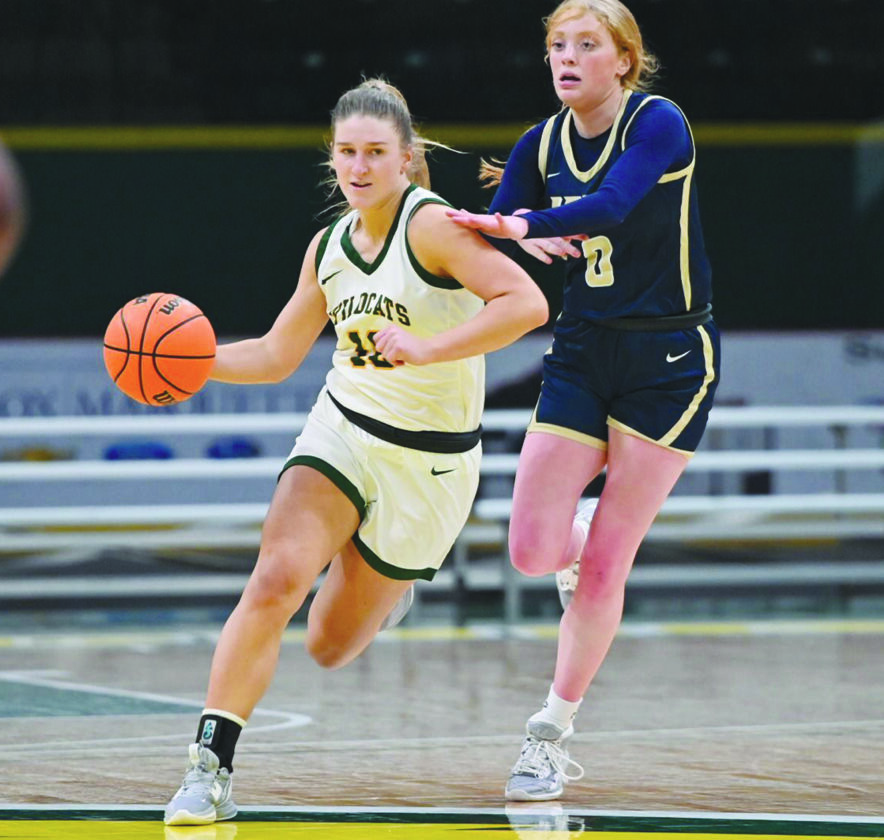 Crash the boards: Northern Michigan University women’s basketball team ...